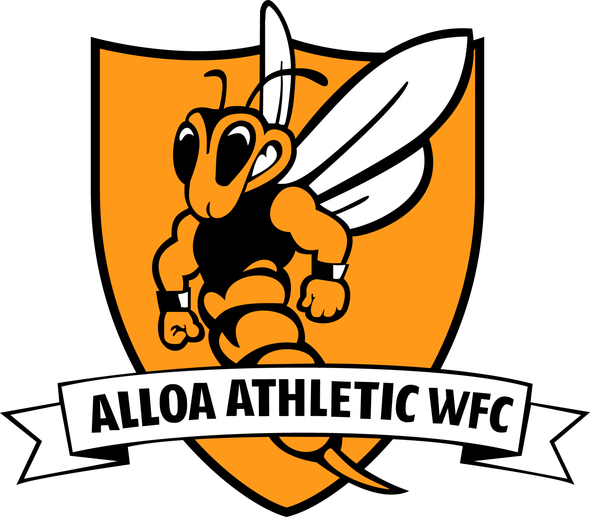 Home - Alloa Athletic FC